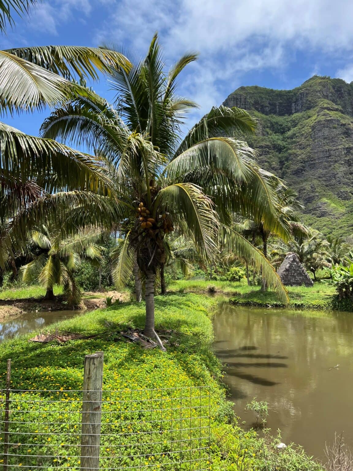 Is Kualoa Ranch worth it, and which tour should you pick? - Destination ...