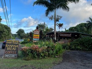 21 Best Road to Hana Stops from our visit! - Destination Checkoff