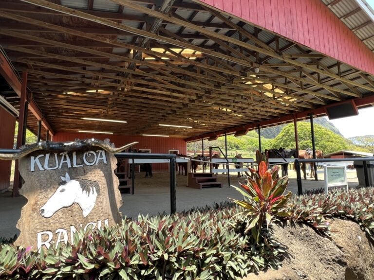Is Kualoa Ranch worth it, and which tour should you pick? - Destination ...