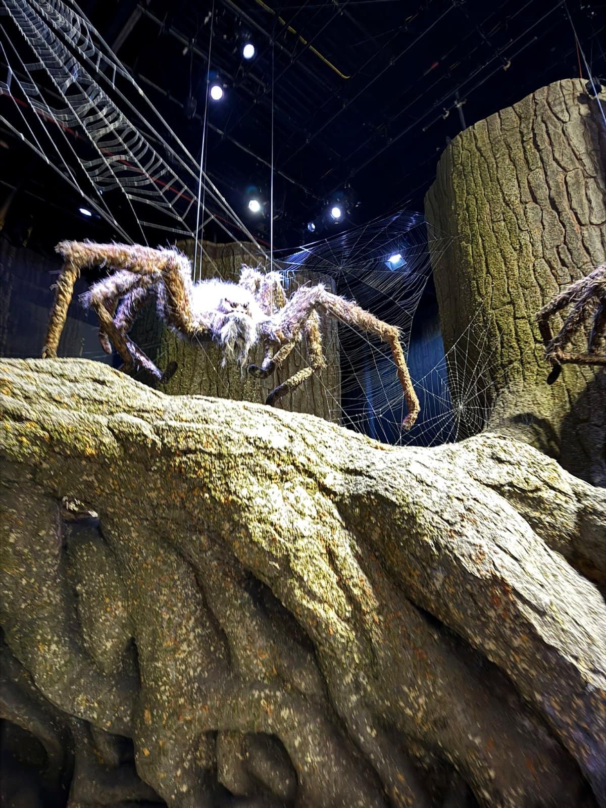 Visiting Harry Potter Studio Tour from London (Our Experience + Tips ...