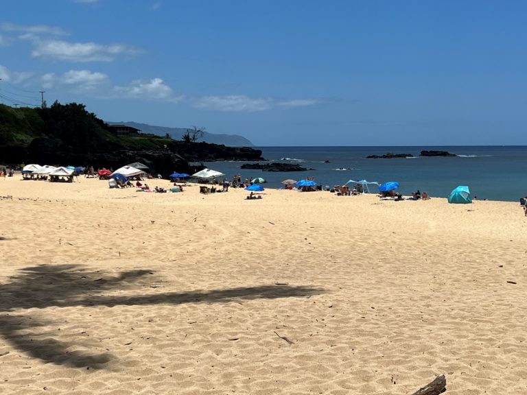 One Day on Oahu's North Shore: The Perfect Day Trip Itinerary ...