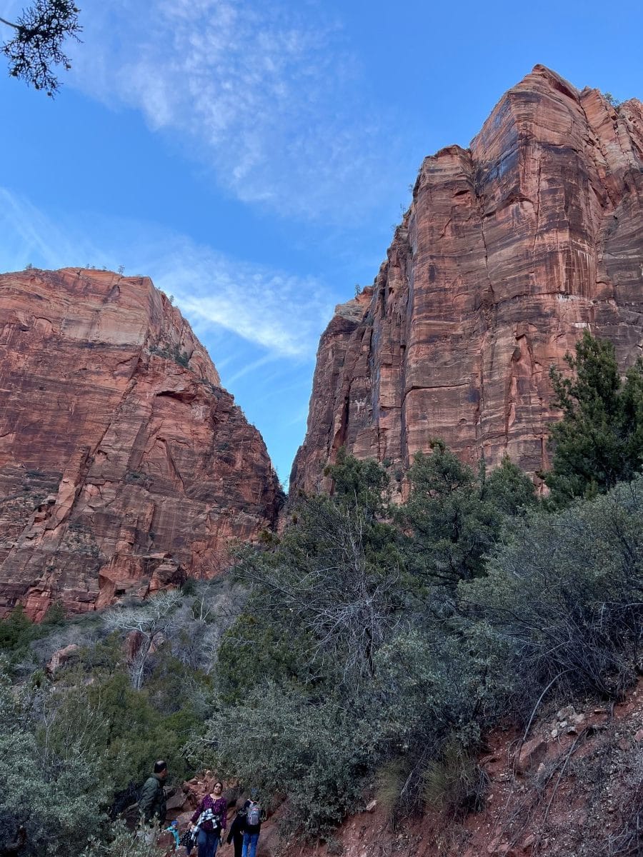 7 Easy hikes in Zion National Park (with epic rewards!) - Destination ...